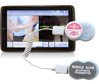 マッスルアライブ(MUSCLE ALIVE) 株式会社身のこなしラボラトリー